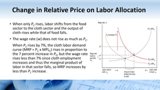 Econ452 Learning Unit 06 | PPT