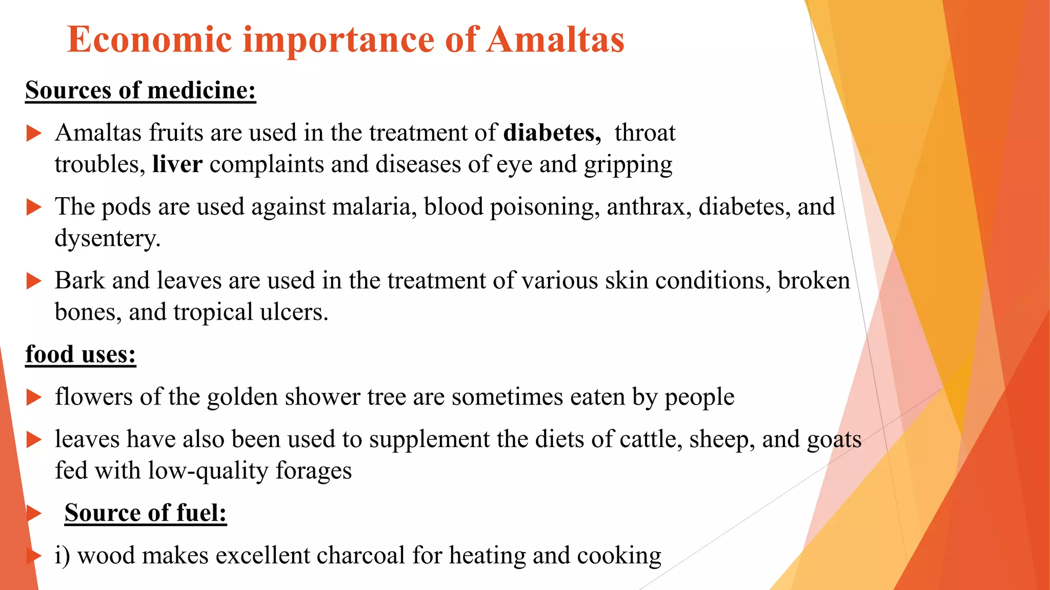 Economic Importance of Plants | PPTX