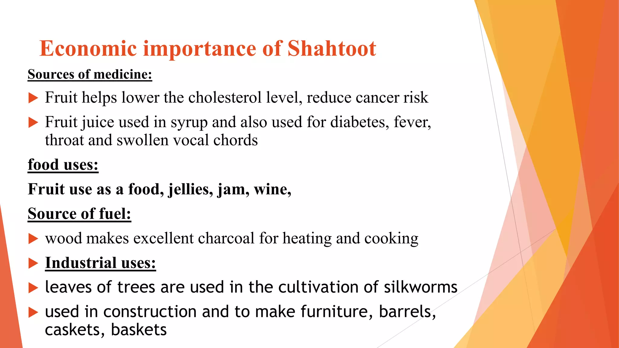 Economic Importance of Plants | PPTX