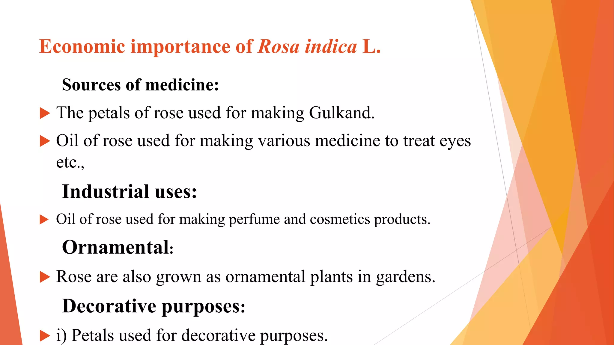Economic Importance of Plants | PPTX