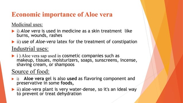 Economic Importance of Plants | PPTX | Gardening | Home & Garden