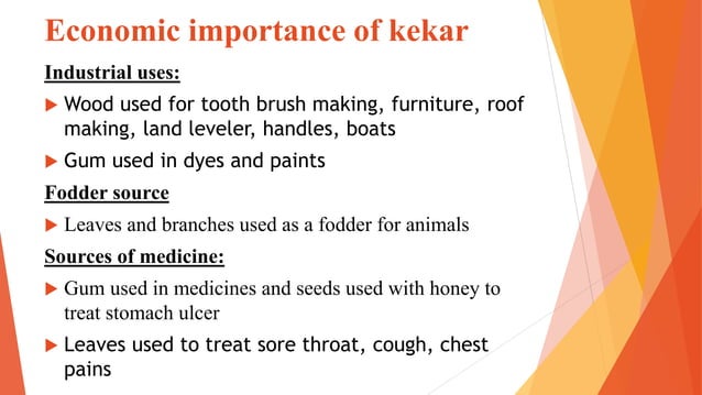 Economic Importance of Plants | PPTX | Gardening | Home & Garden