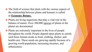 Economic Importance of Plants | PPTX
