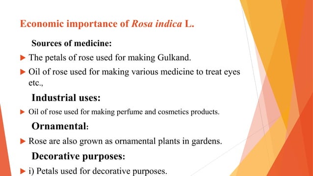Economic Importance of Plants | PPTX | Gardening | Home & Garden