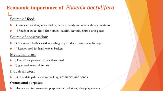 Economic Importance of Plants | PPTX | Gardening | Home & Garden