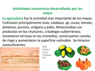 Economia Maya
