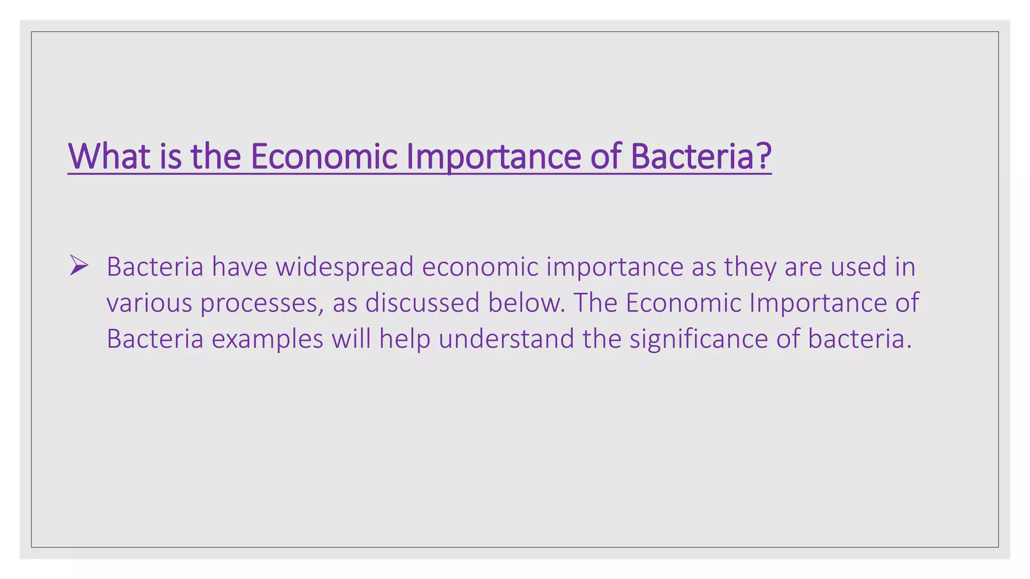 ECONOMIC IMPORTANCE OF BACTERIA.pptx