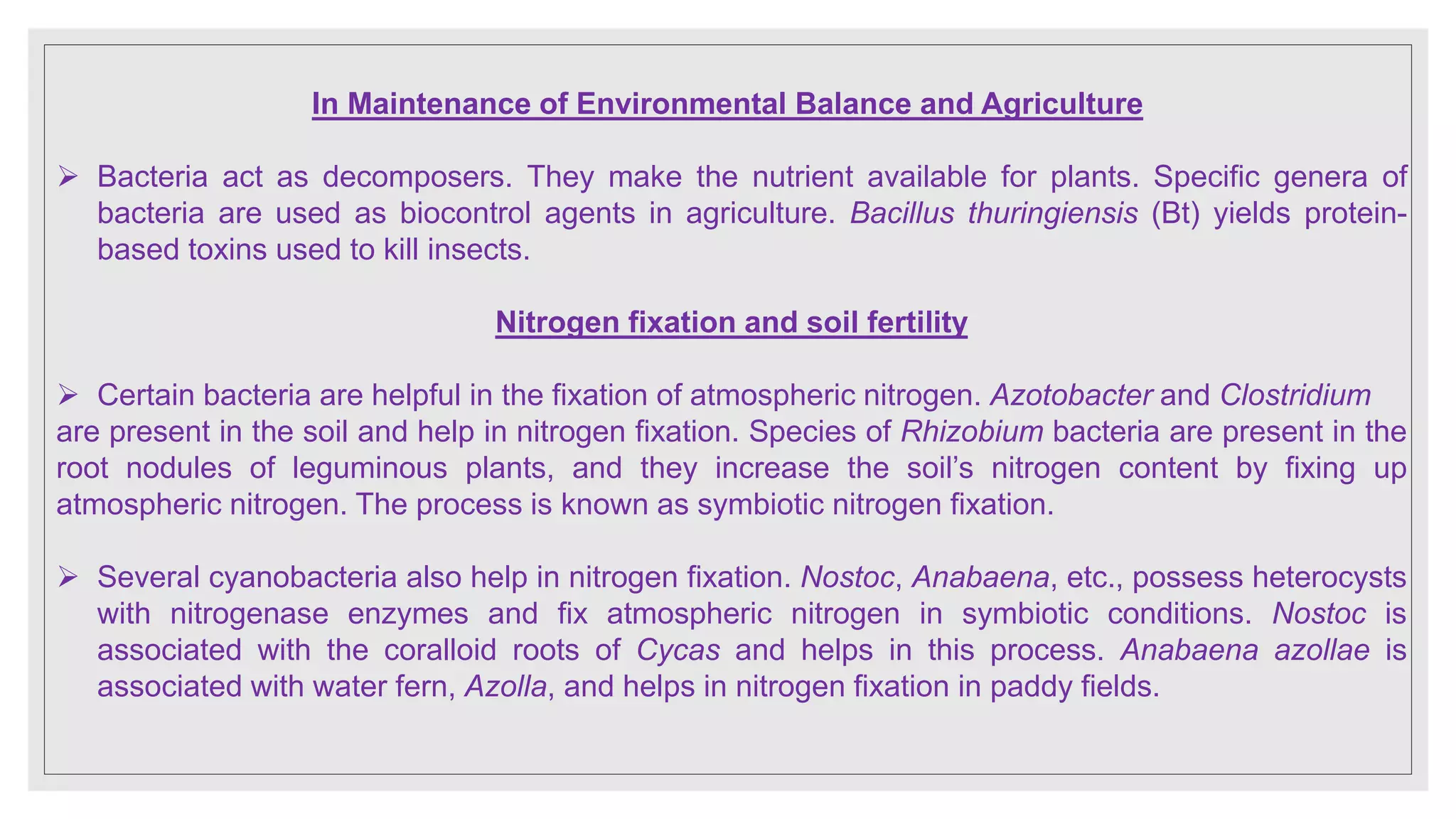 ECONOMIC IMPORTANCE OF BACTERIA.pptx