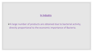 ECONOMIC IMPORTANCE OF BACTERIA.pptx