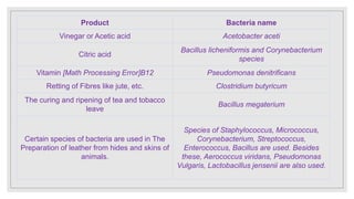 ECONOMIC IMPORTANCE OF BACTERIA.pptx