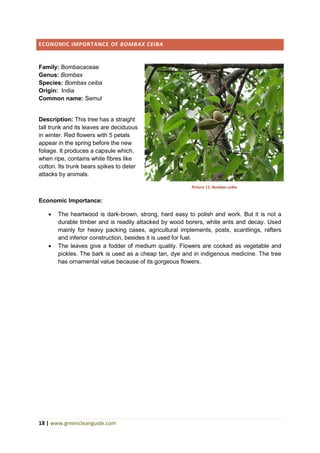Economic importance of popular tree species | PDF