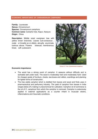 Economic importance of popular tree species | PDF