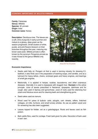 Economic importance of popular tree species | PDF