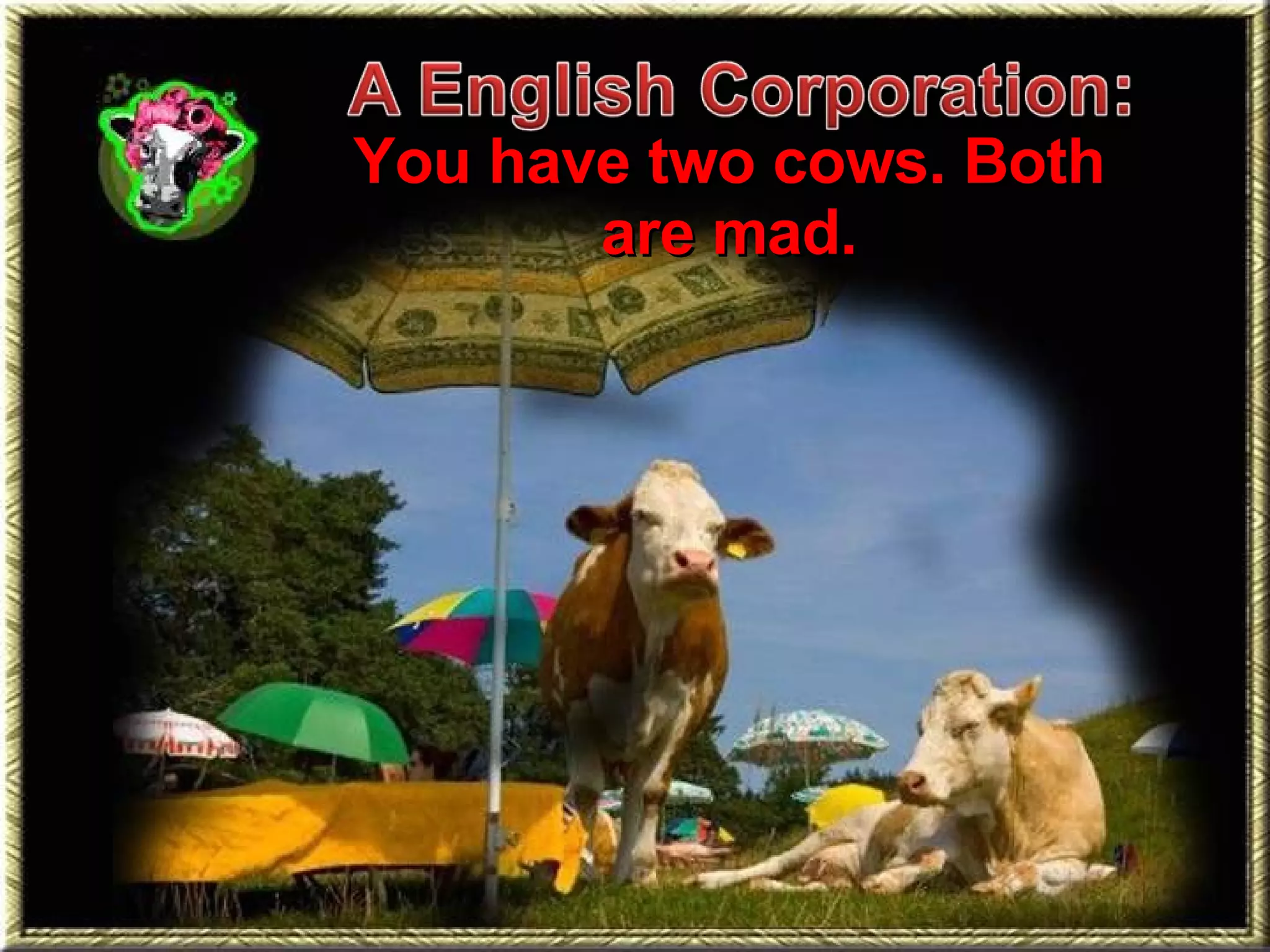 Economic Models Explained With Cows | PPS
