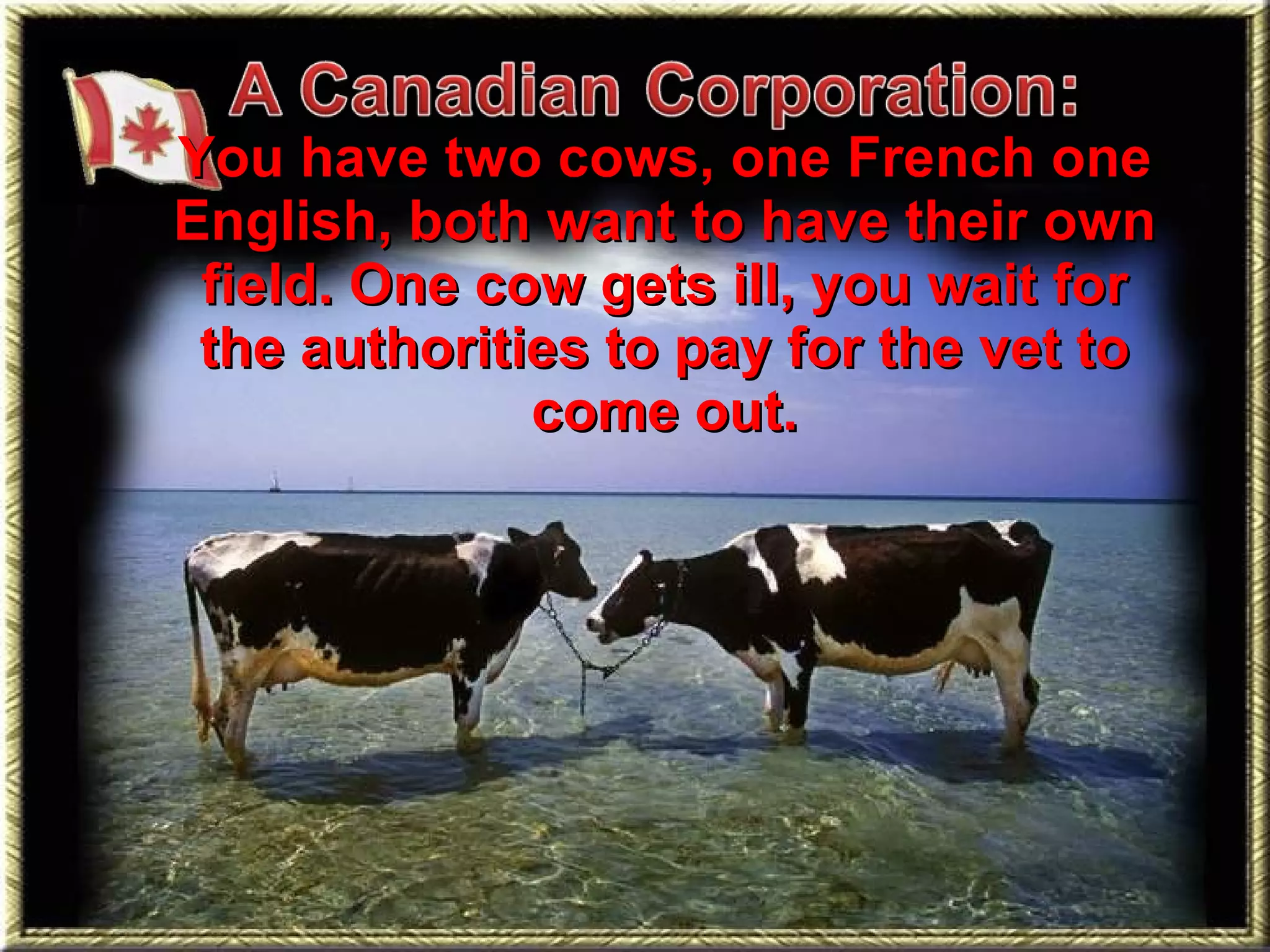 Economic Models Explained With Cows | PPS