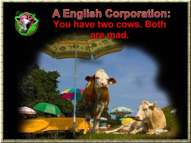 Economic Models Explained With Cows | PPS | Agriculture | Industries
