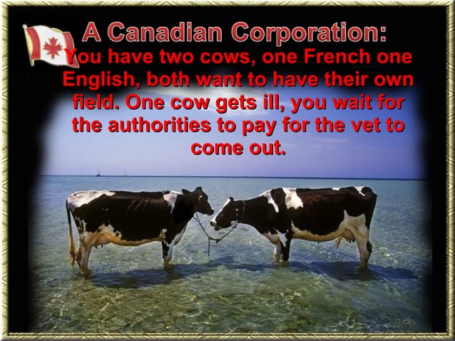 Economic Models Explained With Cows | PPS | Agriculture | Industries