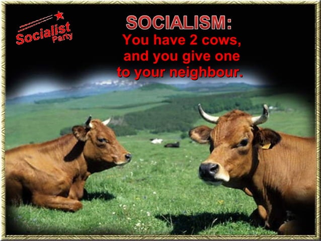 Economic Models Explained With Cows | PPT | Free Download