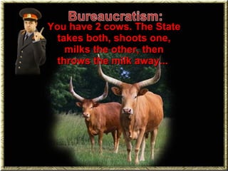 Economic Models Explained With Cows | PPS