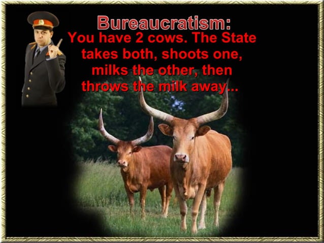 Economic Models Explained With Cows | PPS | Agriculture | Industries