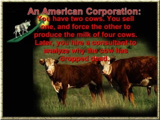 Economic Models Explained With Cows | PPS