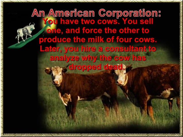 Economic Models Explained With Cows | PPS | Agriculture | Industries