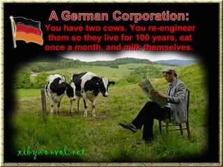 Economic Models Explained With Cows | PPS