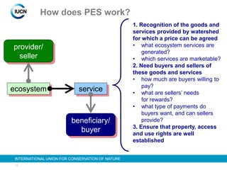Economic valuation and Payment for Ecosystem Services | PPTX