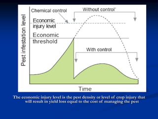 Economical basis of IPM - Economic Thresholds | PPT