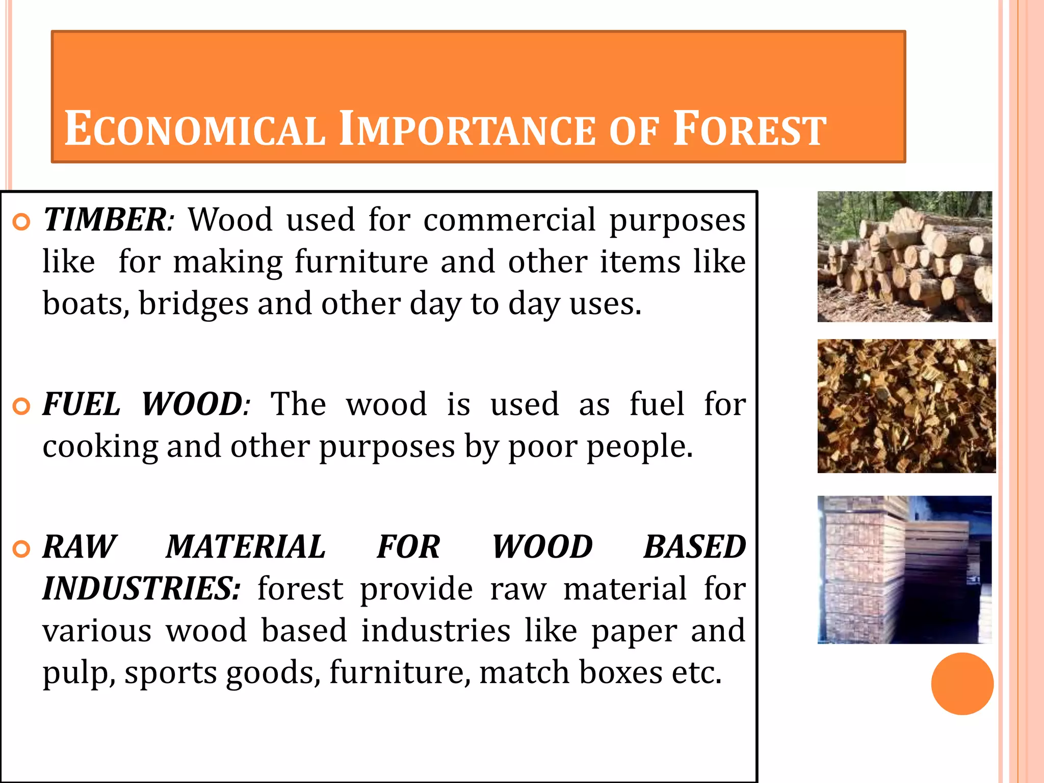 Economical importance and benefits of forests copy | PPTX