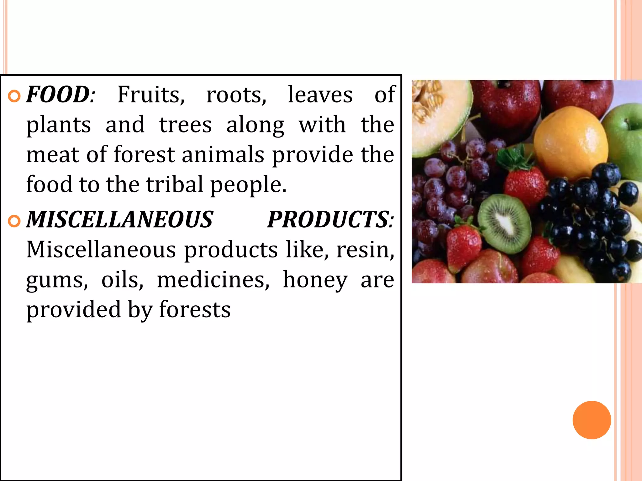 Economical importance and benefits of forests copy | PPTX