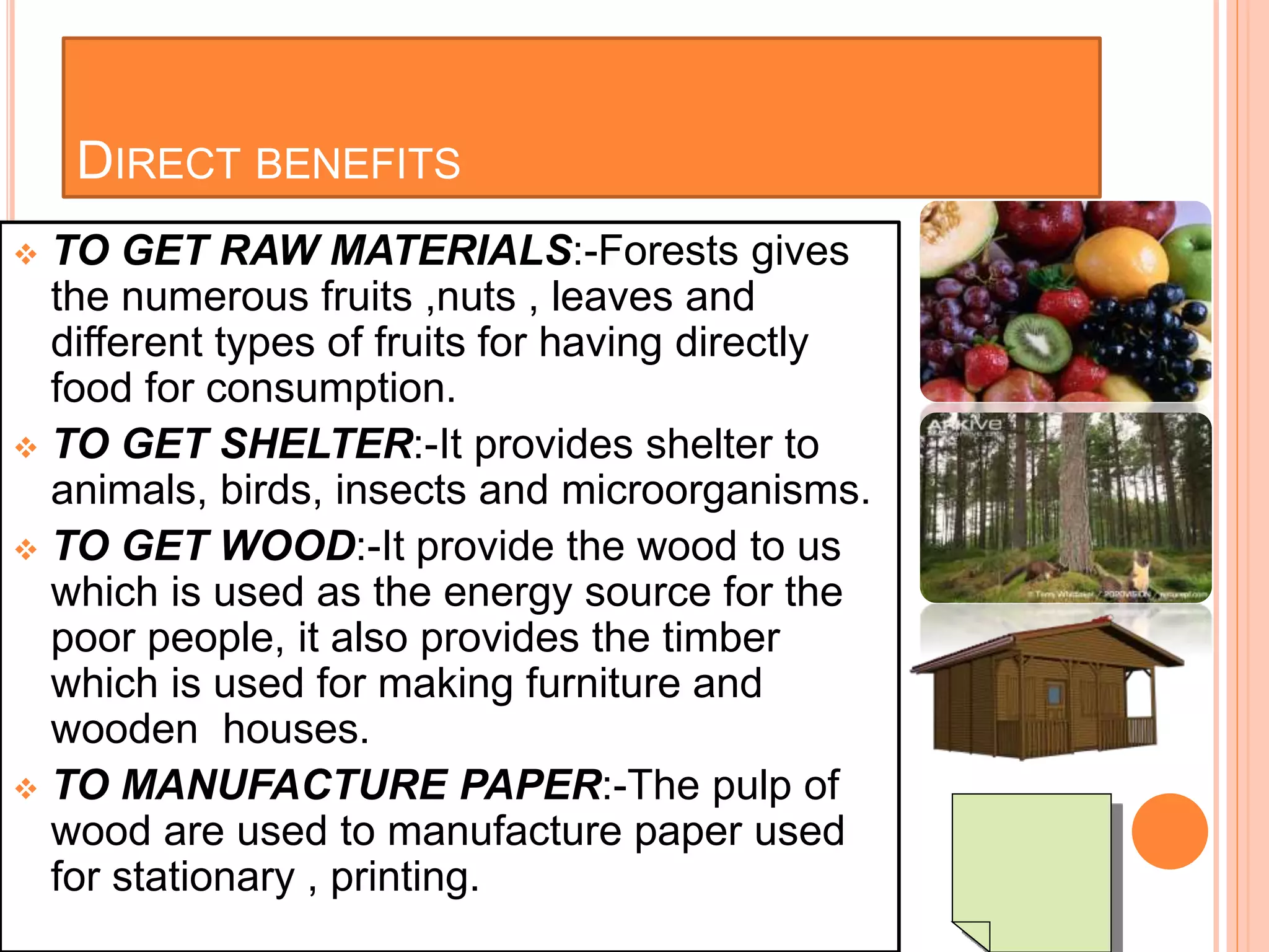 Economical importance and benefits of forests copy | PPTX