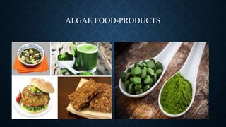 Economical importance of algae | PPTX