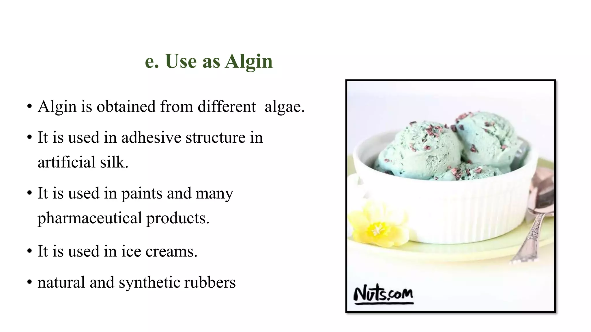 Economical importance of algae | PPTX