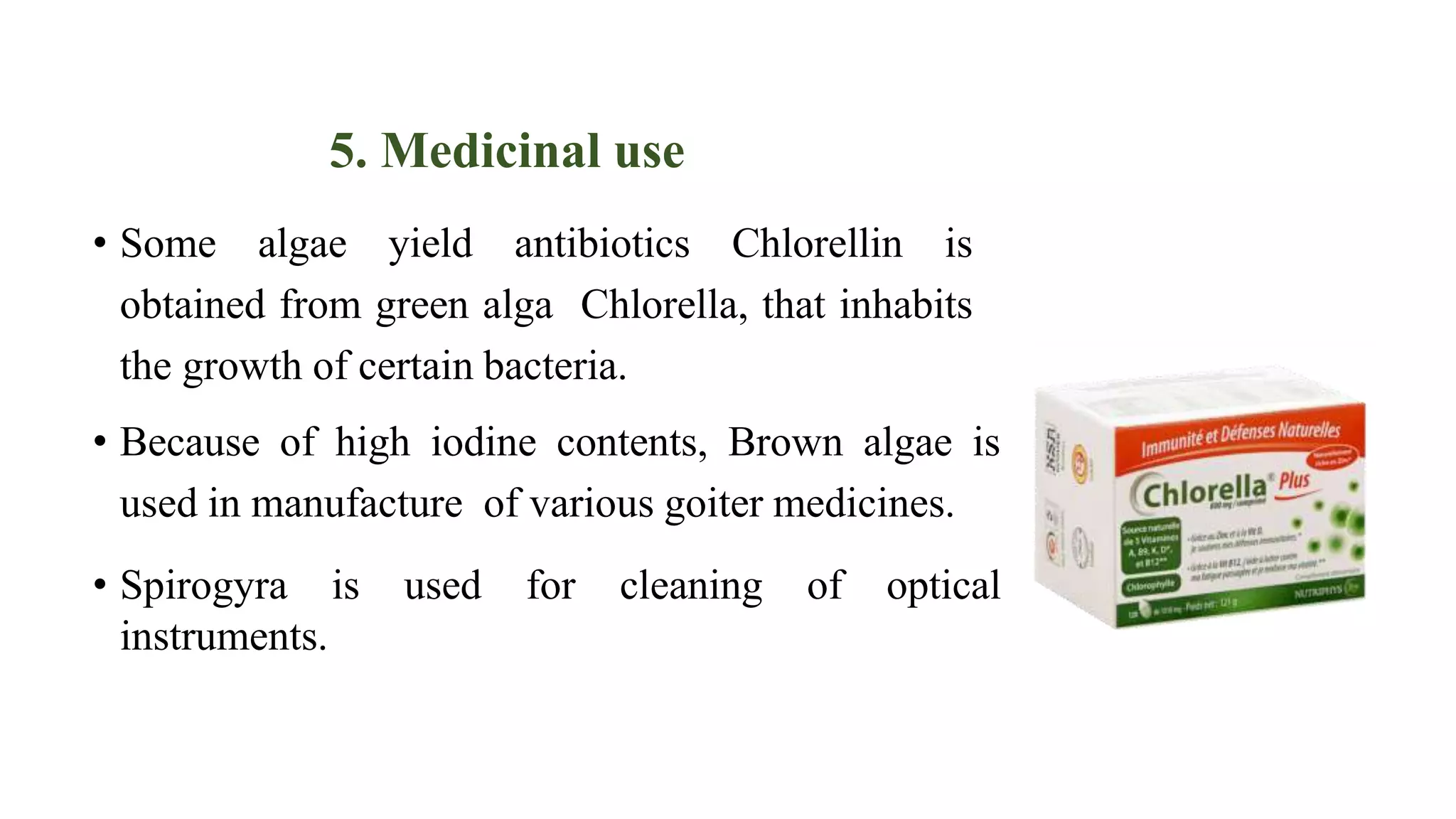 Economical importance of algae | PPTX