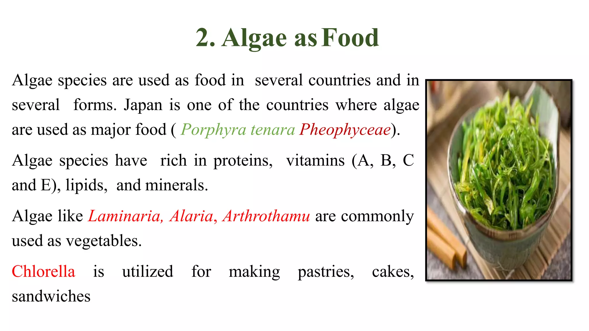 Economical importance of algae | PPTX