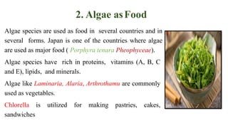 Economical importance of algae | PPTX