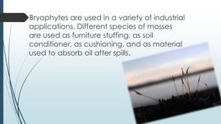 Economical importance of bryophyte [autosaved] | PPTX