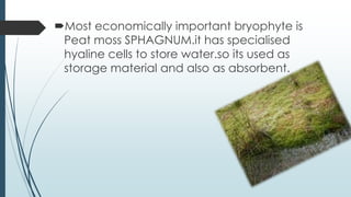 Economical importance of bryophyte [autosaved] | PPTX