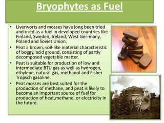 Economical importance of bryophytes | PPTX