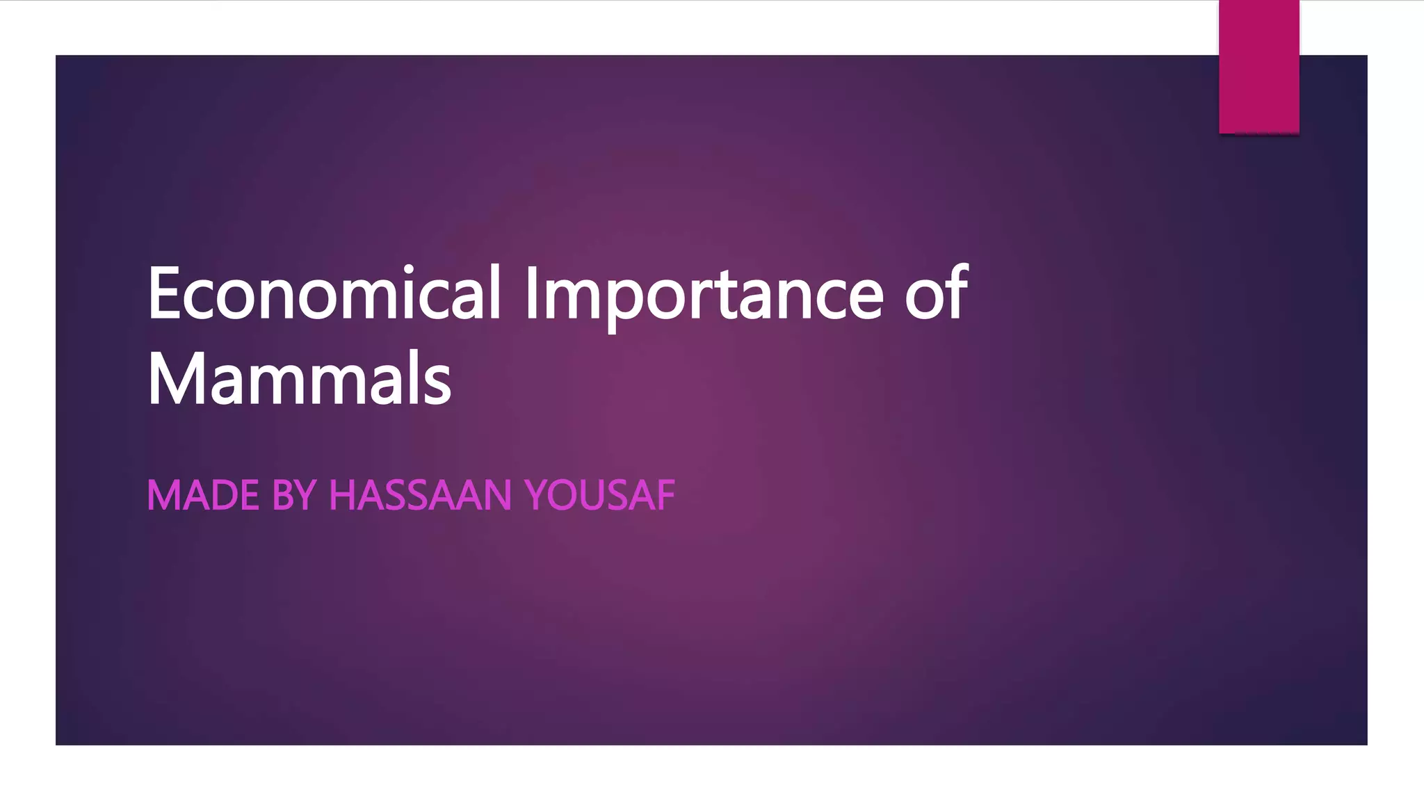 Economical Importance of Mammals.pptx