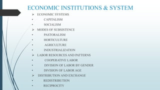 Economical institution and_issues_of_pakistan | PPTX