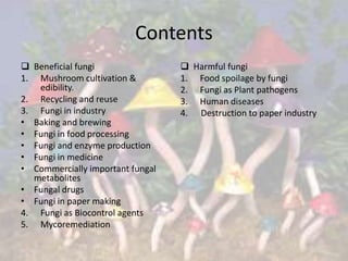 Economically important higher fungi | PPTX