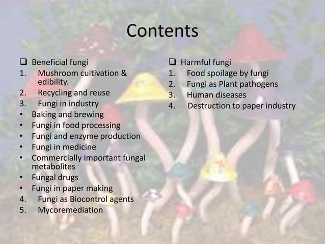 Economically important higher fungi | PPT