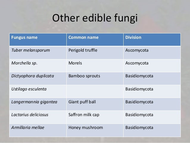 Economically important higher fungi
