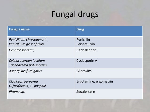 Economically important higher fungi