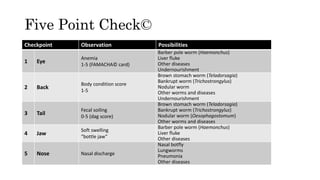 Economical Parasite Control | PPT