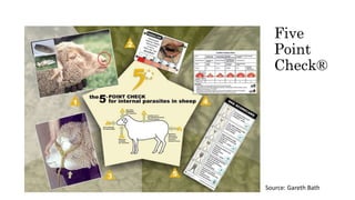 Economical Parasite Control | PPT