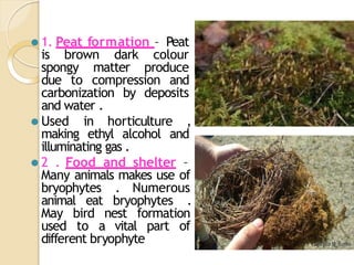 Economic and Ecological Importance of Bryophytes.pptx