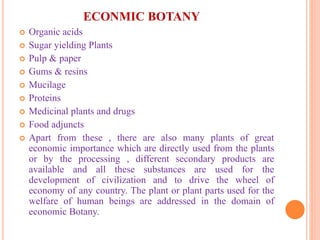 Economic Botany 1 | PPT
